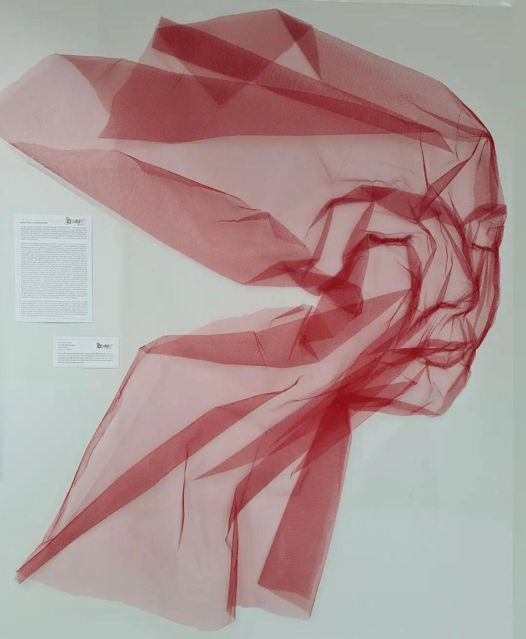 IB and HSC Visual Arts Exhibition | AIS Singapore